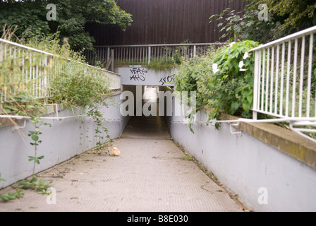 Subway underpass, overgrown Urban landscape Stock Photo - Alamy