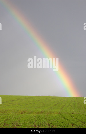 Rainbow over a wheat field in the Lauragais plain, Aude, France on May ...