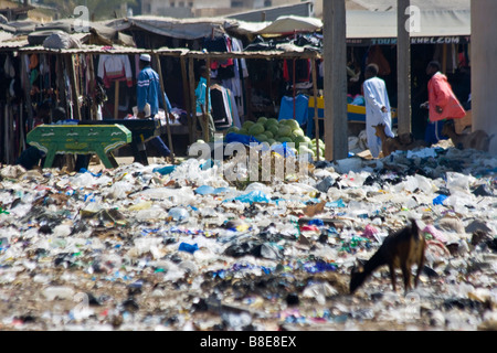Goat Eating Garbage in St Louis in Senegal West Africa Stock Photo - Alamy
