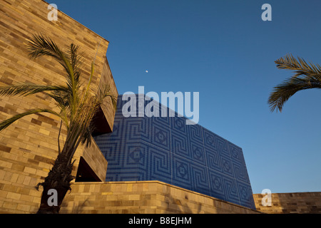 Bassily auditorium, American University in Cairo new campus, New Cairo ...