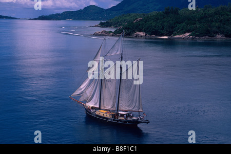 The Sailing Yacht Sea Shell Stock Photo - Alamy