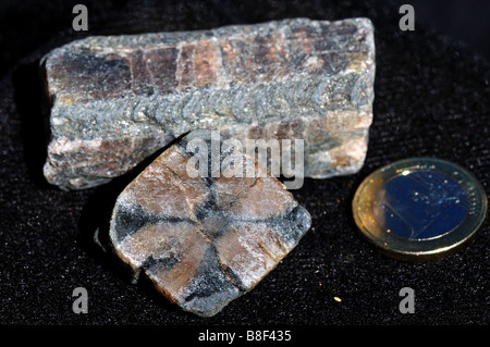 Mineral Andalusite, Cross section of crystals exposed in cut and ...