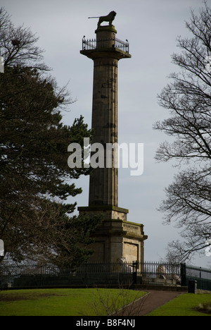 PERCY TENANTRY COLUMN, Alnwick, Northumberland. A detail of the Percy ...