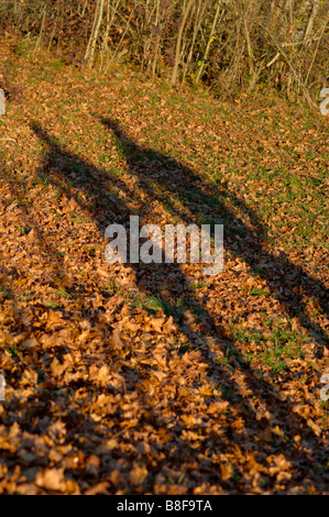Two people cast long shadows on an autumnal afternoon Stock Photo - Alamy