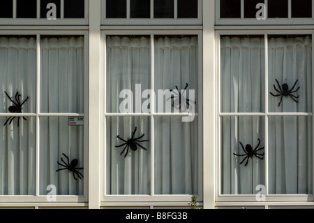 Big furry spiders in a house window as halloween decoration Stock Photo ...