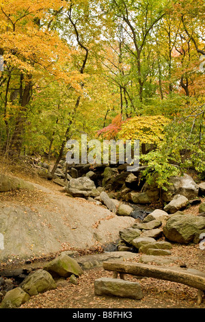 Granite outcrop in a park, Central Park, Manhattan, New York City, New ...