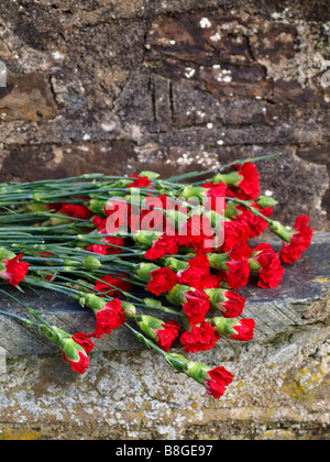 Bouquet of red and while flowers laying on a neutral colored table ...