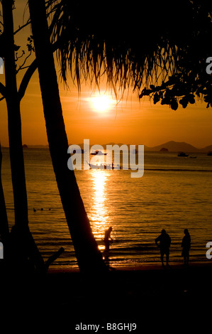 An panarama view of the golden beach and palm tree's at Hulopo'e Beach ...