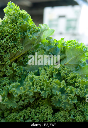 green organic lettuce for sale at local market Stock Photo - Alamy