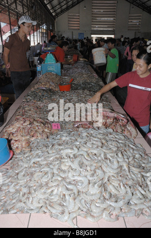 Prawns for sale interior of SAFMA fish market Kota Kinabalu Sabah ...