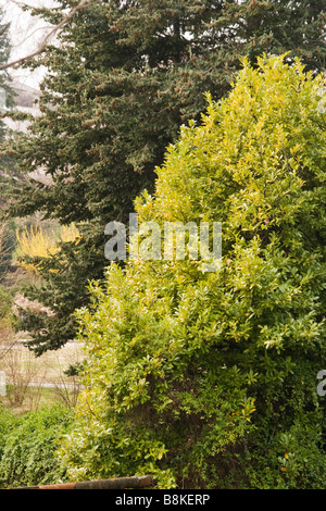 Sandanski park in springtime, Balkans, Bulgaria Stock Photo - Alamy