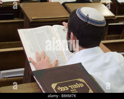 Student Praying and Studying in Mercaz Harav Yeshiva in Jerusalem ...