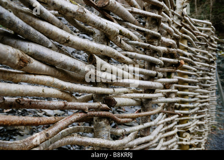 Woven fence made from hazel rods, reconstructed Viking settlement ...