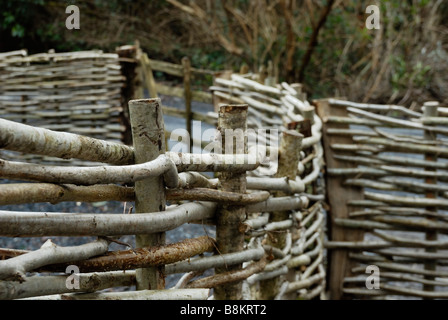 Woven fence made from hazel rods, reconstructed Viking settlement ...
