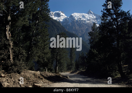 The scenic road down from Kalpa in the Kinnaur Valley of Himachal ...