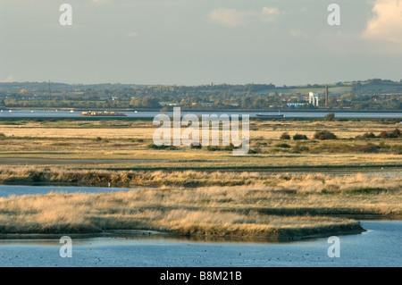 RSPB Nature reserve Cliffe Pools, Kent, England, UK Stock Photo - Alamy