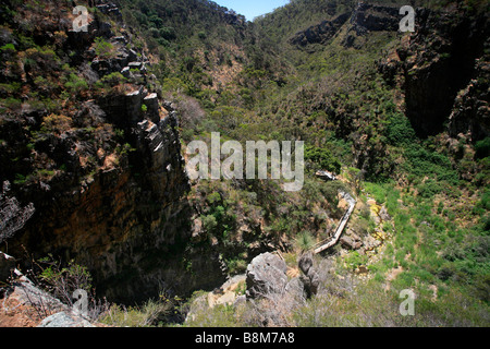 Morialta Falls walkway Stock Photo - Alamy