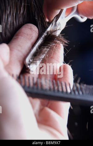 brown hair being cut by a hairdresser Stock Photo - Alamy