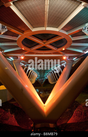University of Limerick: Living Bridge, Limerick, Ireland. Architect ...