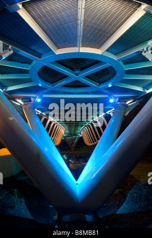 University of Limerick: Living Bridge, Limerick, Ireland. Architect ...