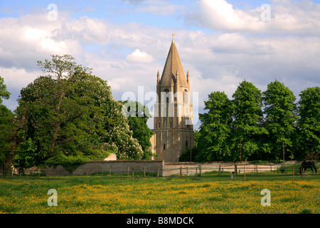 Summer Landscape Scene Buttercup Meadows St Johns Church Barnack ...