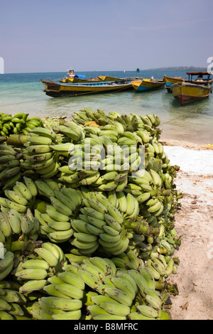 Green leaf, Port Blair, Andaman and Nicobar Islands, Union territory of ...