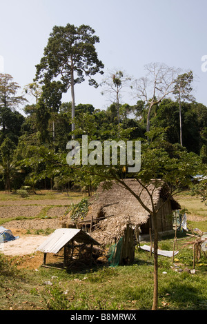 India Andaman Islands Havelock forestry deforestation base of huge ...