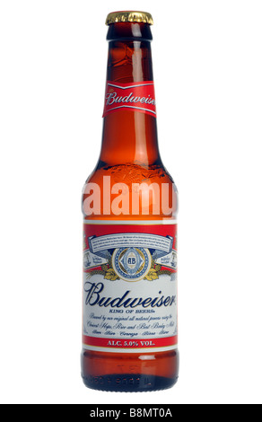 Bottle of Budweiser Beer Stock Photo - Alamy