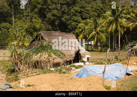 India Andaman Islands Havelock forestry deforestation base of huge ...