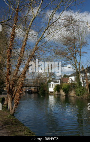 River Lea in Ware, Hertfordshire, England, UK Stock Photo - Alamy