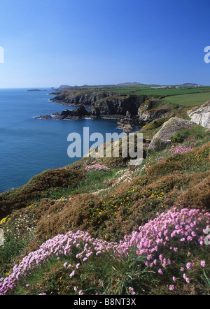 Seascape, St. Brides Bay Pembrokeshire Coast National Park Stock Photo ...
