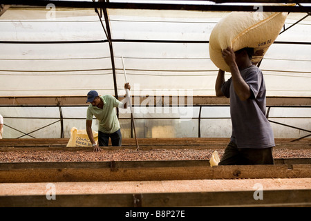 Cocoa processing factory, Dominican Republic Stock Photo - Alamy