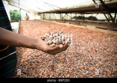 Cocoa processing factory, Dominican Republic Stock Photo - Alamy