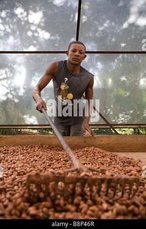 Cocoa processing factory, Dominican Republic Stock Photo - Alamy