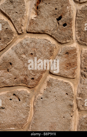 Coral. Arabian desert. Saudi Arabia Stock Photo - Alamy