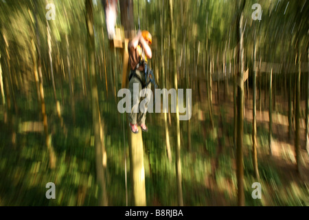 Tree Top Adventure Betws y Coed Snowdonia North Wales UK Stock Photo ...