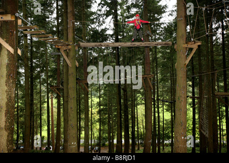 Girl at Tree Top Adventure Betws y Coed Snowdonia Gwynedd North Wales ...