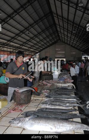 Fish for sale interior of SAFMA fish market Kota Kinabalu Sabah ...