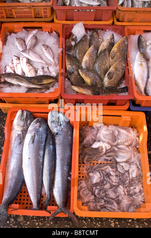 food, aliment, angle, fish, frozen, trout, raw, seafood, cutting board ...