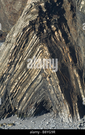Angular anticlinal fold Traeth Godi'r Coch Cemaes Head Pembrokeshire ...