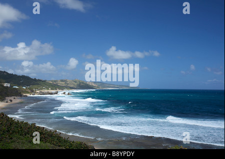 Rock pools at Bathsheba beach East Coast Barbados Stock Photo - Alamy
