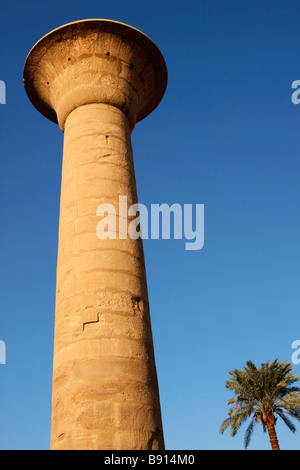 Open Papyrus column Karnak temple Egypt North Africa Stock Photo - Alamy