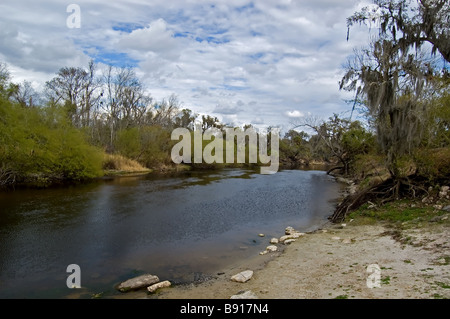 Summer river scene Stock Photo - Alamy
