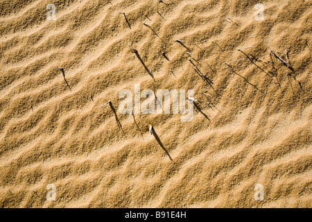 Panorama of wind eroded desert floor with ridges running into shot and ...