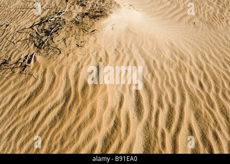 Panorama of wind eroded desert floor with ridges running into shot and ...