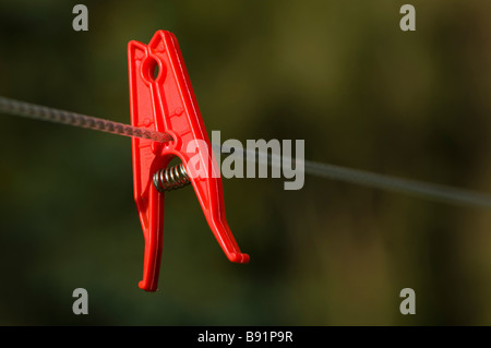 Single plastic red peg on a washing line set against a blue sky ...