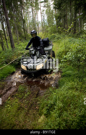 Four-wheeler in a forest Sweden Stock Photo - Alamy
