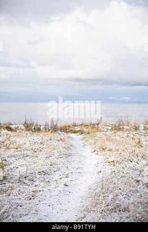 A footpath by the beach Gotland Sweden Stock Photo - Alamy
