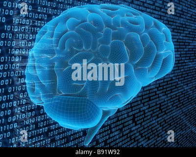 Wire human model with brain. 3d render Stock Photo - Alamy