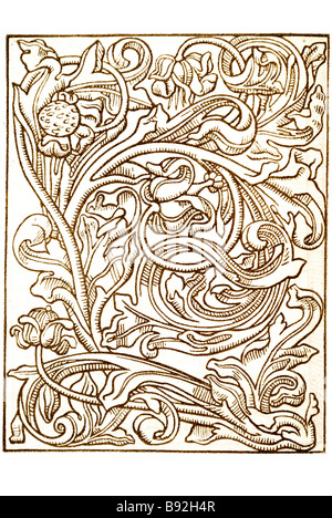 Engraving of parchment. Realistic illustration of paper. Black and ...